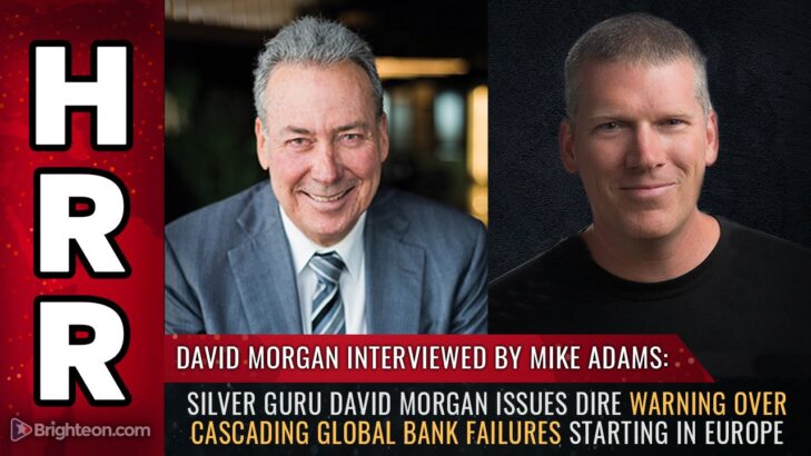 David Morgan Issues Dire Warning Over Cascading Global BANK FAILURES ...
